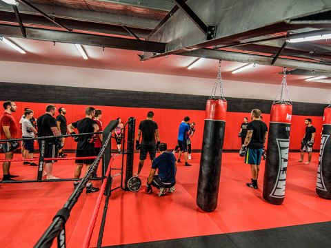 Toulouse Fight Club | MMA-BOXE-JJB-GRAPPLING-BOXE THAI-K1-KRAV MAGA